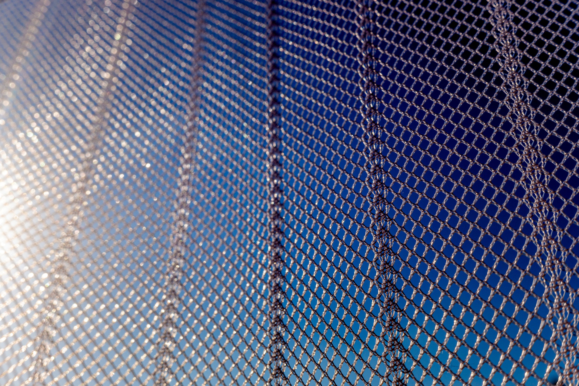 Keeping Mosquitoes Away From Your Pool - Sigma Pest Control